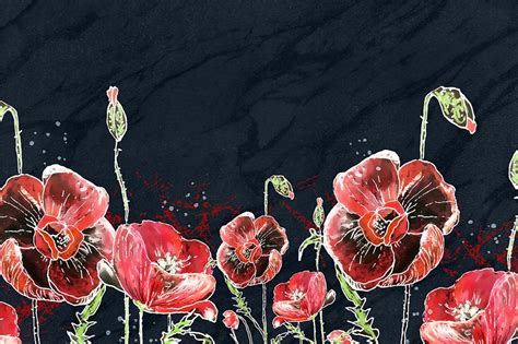 Tapete Rote Mohnblumen Auf Schwarzem Hintergrund Dovido De