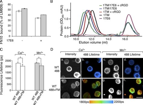 Crystal Structure Of The Complete Integrin αvβ3 Ectodomain Plus An α β Transmembrane Fragment Pmc