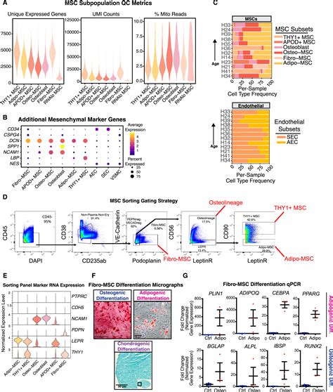 Mapping The Cellular Biogeography Of Human Bone Marrow Niches Using