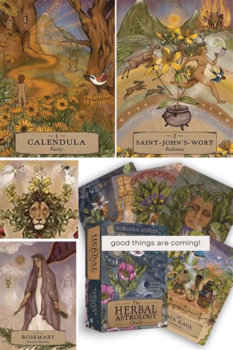 The Herbal Astrology Oracle Card Deck