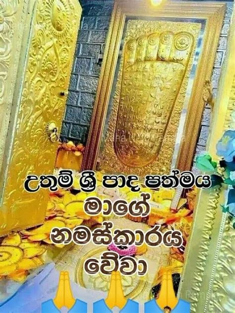 උතුම් ශ්‍රීපාදය🙏🙏මේ උදෑසන ඔබ කරන කියන සෑම දෙයක්ම සුභ වෙන්න මෙම වීඩියෝ එක බලලා සාදු සාදු කියාගෙන