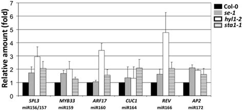 Qrt Pcr Expression Analysis Of Selected Mirna Target Transcripts In