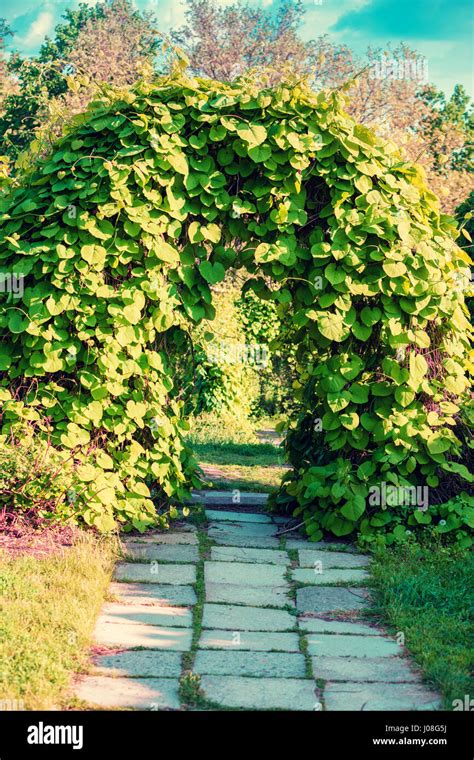 Landscape Design In The Garden Arch From Trees Stock Photo Alamy