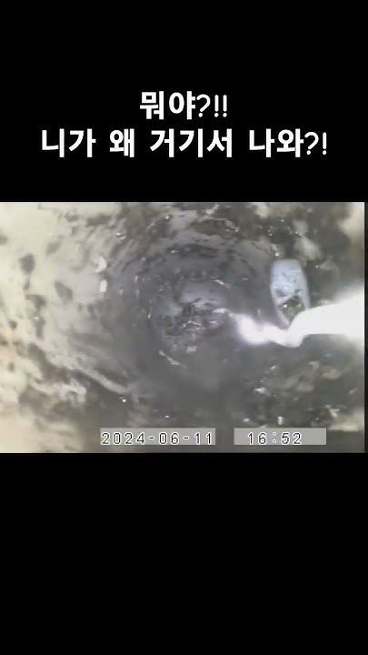 하수구역류이물질제거배관청소하수구막힘 Youtube