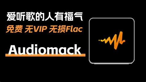 最强听歌软件 全网音乐免费听 免费听歌APP推荐Audiomack YouTube