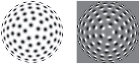Affine Gaussian Receptive Fields Generated For A Set Of Covariance