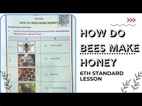 6th Standard English Lesson HOW DO BEES MAKE HONEY Watch This YouTube