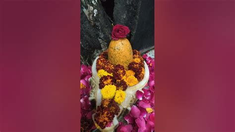 श्री शिवायनमस्तुभ्यं 🙏🙏 हर हर महादेव 🙏🙏 शिव चालीसाजय गिरिजापतिदीन