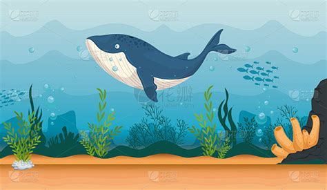 蓝鲸海洋动物海洋世界的居住者可爱的水下生物栖息地海洋热带海底动物群