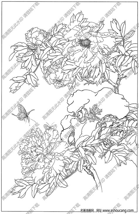 牡丹花线描画23高清大图下载 名画油画网