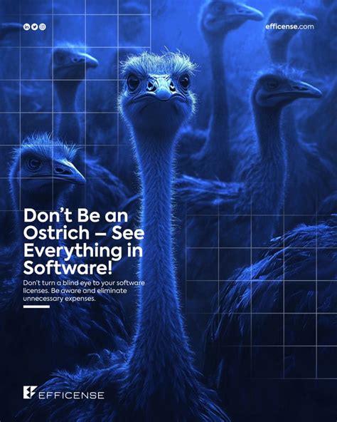 Efficense Licensemanagement Costefficiency Efficense