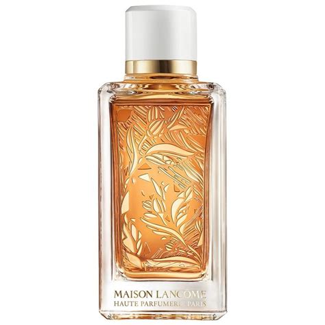 lancome santal kardamon | Eau de parfum, Parfum, Fragrance parfum