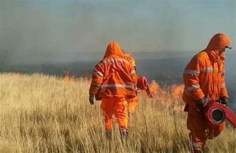 Он гарсаар 17 удаа ой хээрийн түймэр гарчээ E Mn