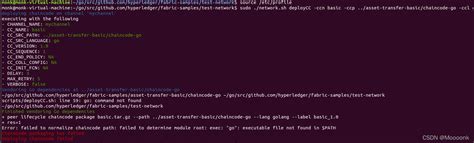 【fabric221搭建】过程及遇到的问题command Shh Not Found Did You Mean Command