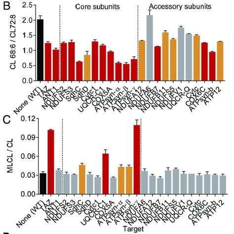 Assembly Of The Oxphos System Affects Cl Remodeling In Drosophila A Download Scientific