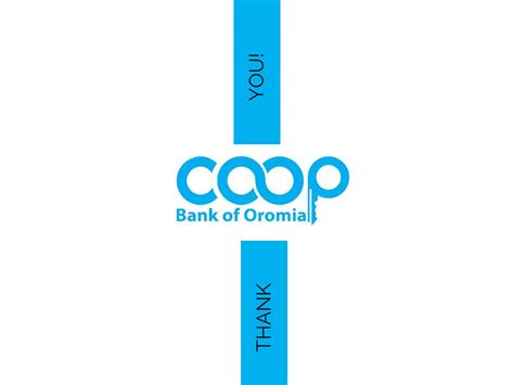 Coso Framework Tailoring And Scoping Stage Ppt