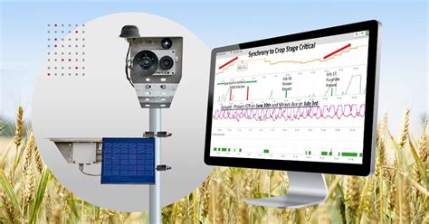Fusarium Head Blight Models Are A Handy And Accurate Tool In Farmers