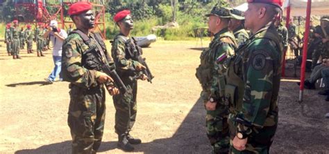 Cs Ls06 Armament Research Services Ares