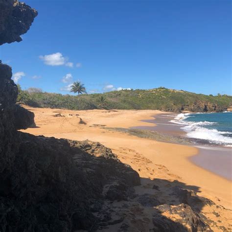 Playa Colora 2 Tips