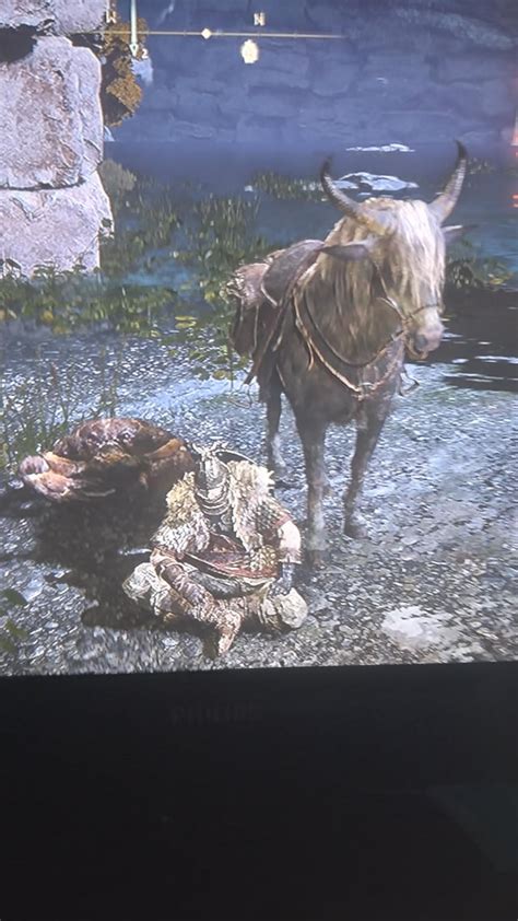 The Flutter Gang Rneomonsters