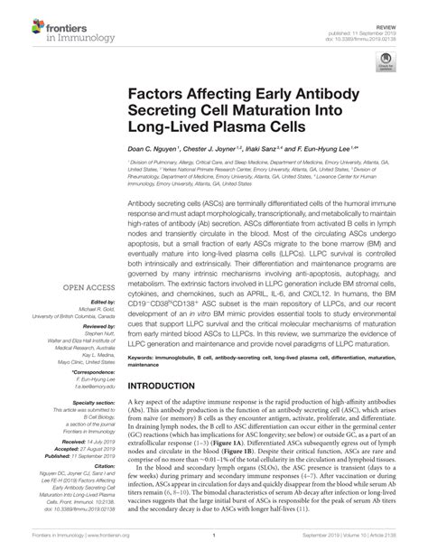 Pdf Factors Affecting Early Antibody Secreting Cell Maturation Into