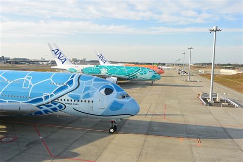 3機揃って笑顔 Ana A380「フライング・ホヌ」 本格稼働の出番待つ Flyteam ニュース