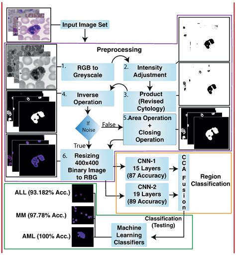 Detecting Malignant Leukemia Cells Using Microscopic Blood Smear Images A Deep Learning Approach