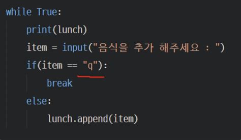Python 기본 문법