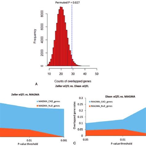 In Silico Permutation Analysis And Comparative Analysis A In Silico