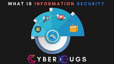 What Is Information Security It S Need And Types Cyberbugs