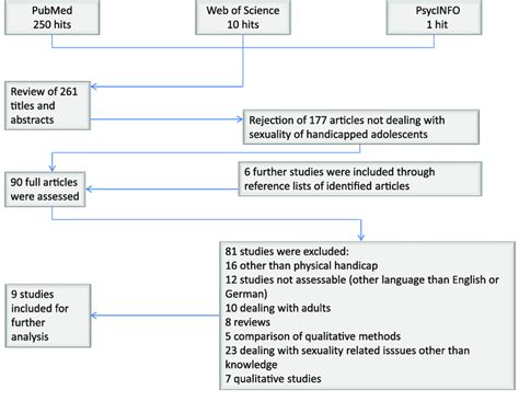 Flowchart Results Of The Systematic Literature Research Download