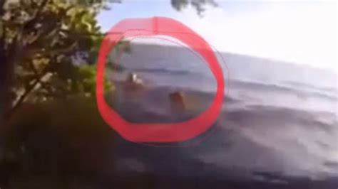 15 Scariest Sightings Of Mermaids Artofit