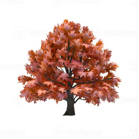 3d Mapple Tree Render Illustration Clipart 49999866 Png
