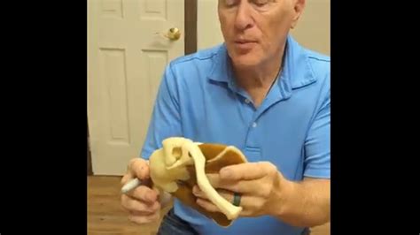 Shoulder Injection Diagnosis And Treatment Options Ocbm Roadmap Virtual Video Training Library