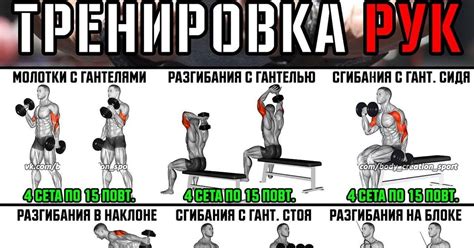 Тренировки для рук с гантелями Пикабу