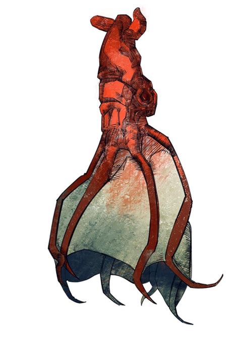 Vampire Squid R Thedepthsbelow
