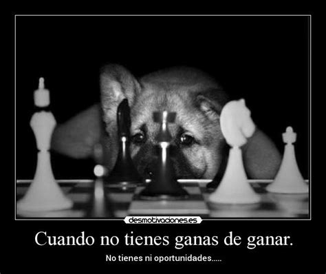 Cuando No Tienes Ganas De Ganar Desmotivaciones