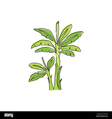 One Continuous Line Drawing Of Beauty And Fresh Banana Tree Decorative