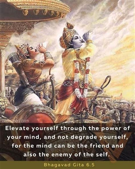 Ibm Oracle Cisco Kpmg Tcs Hcl Infosys Maang Capgemini Accenture Reliance Dmart