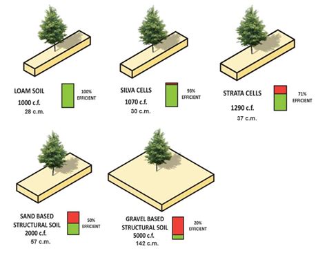 Which Planting Solution Is Best For Trees Bartlett Lab Field Trials DeepRoot Blog