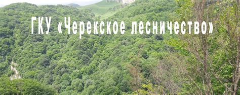 ГКУ Черекское лесничество Государственное казенное учреждение