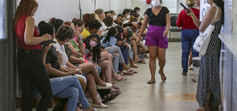 Brasil Registra Recorde Histórico De Mortes Por Dengue E Quase 4