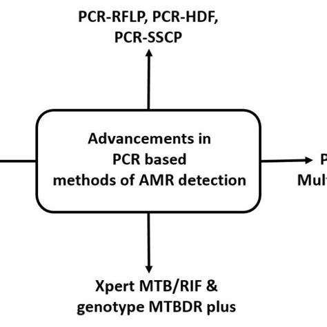 nucleic acid detection method for drug resistance in m tb based on pcr