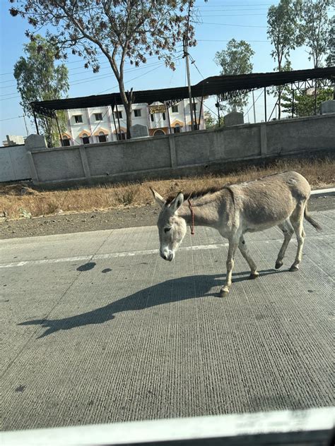 Nandkumar Saravade Di Linkedin Noise Pollution Adaptations 26 Komen