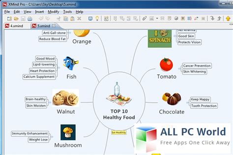 Pc Mind Mapping Software Dynagre