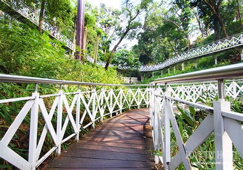 【嘉義景點】竹崎親水公園天空走廊 穿梭森林翱翔空中步道 Love生活旅遊札記 全台旅遊住宿資訊
