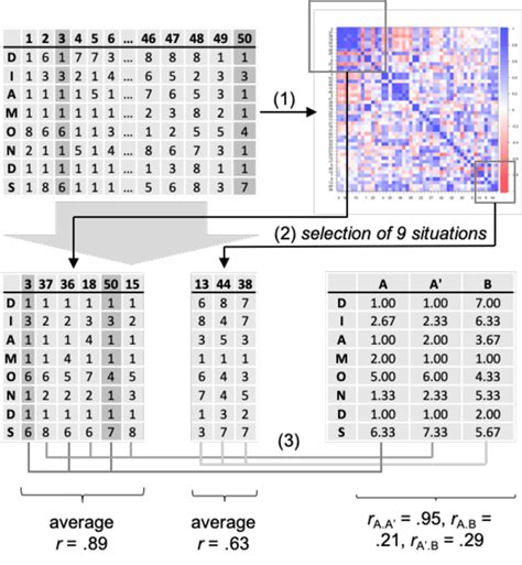 selection of functionally equivalent and non equivalent situations download scientific diagram