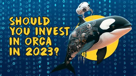 Orca Crypto Dive Into The Ocean Of Decentralized Finance