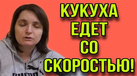 КУКУХА ЕДЕТ СО СКОРОСТЬЮ. VREDINA LIFE. ОБЗОР ВЛОГА. - YouTube