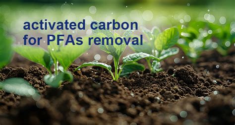 Activated Carbon For Pfas Removal